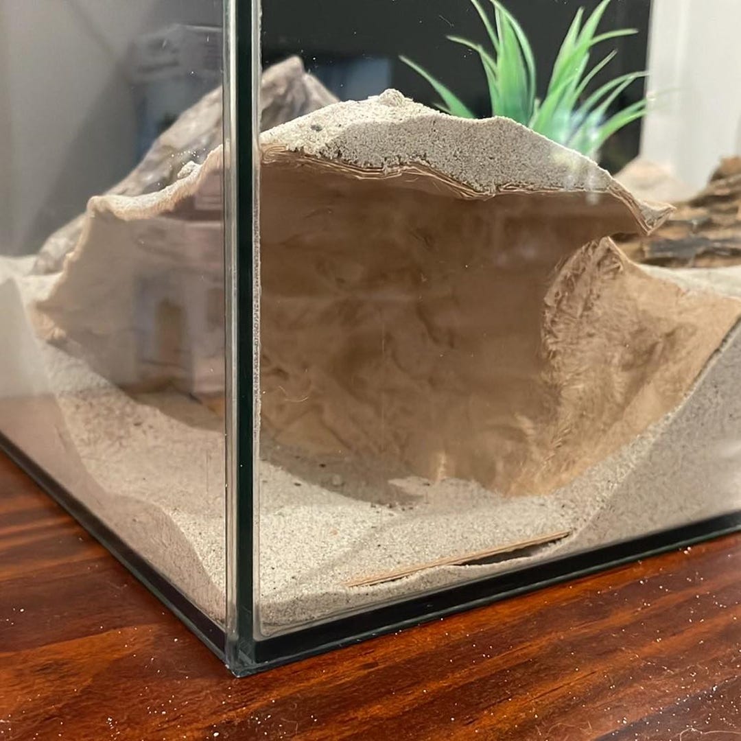 Corner Rocky Grotto | Create an Adventure Zone for Your Fish, Shrimp ...