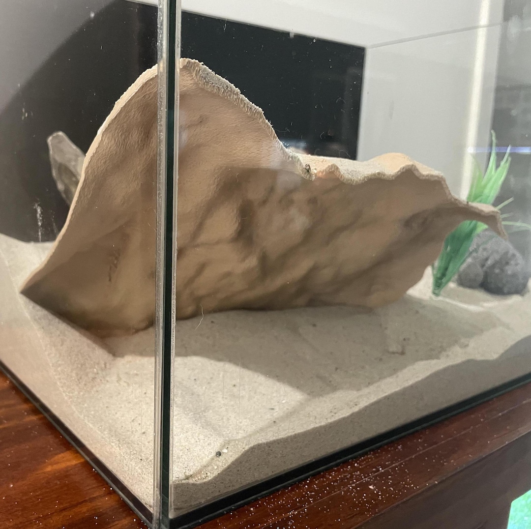 Goliath Corner Cave | Create an Adventure Zone for Your Fish, Shrimp ...