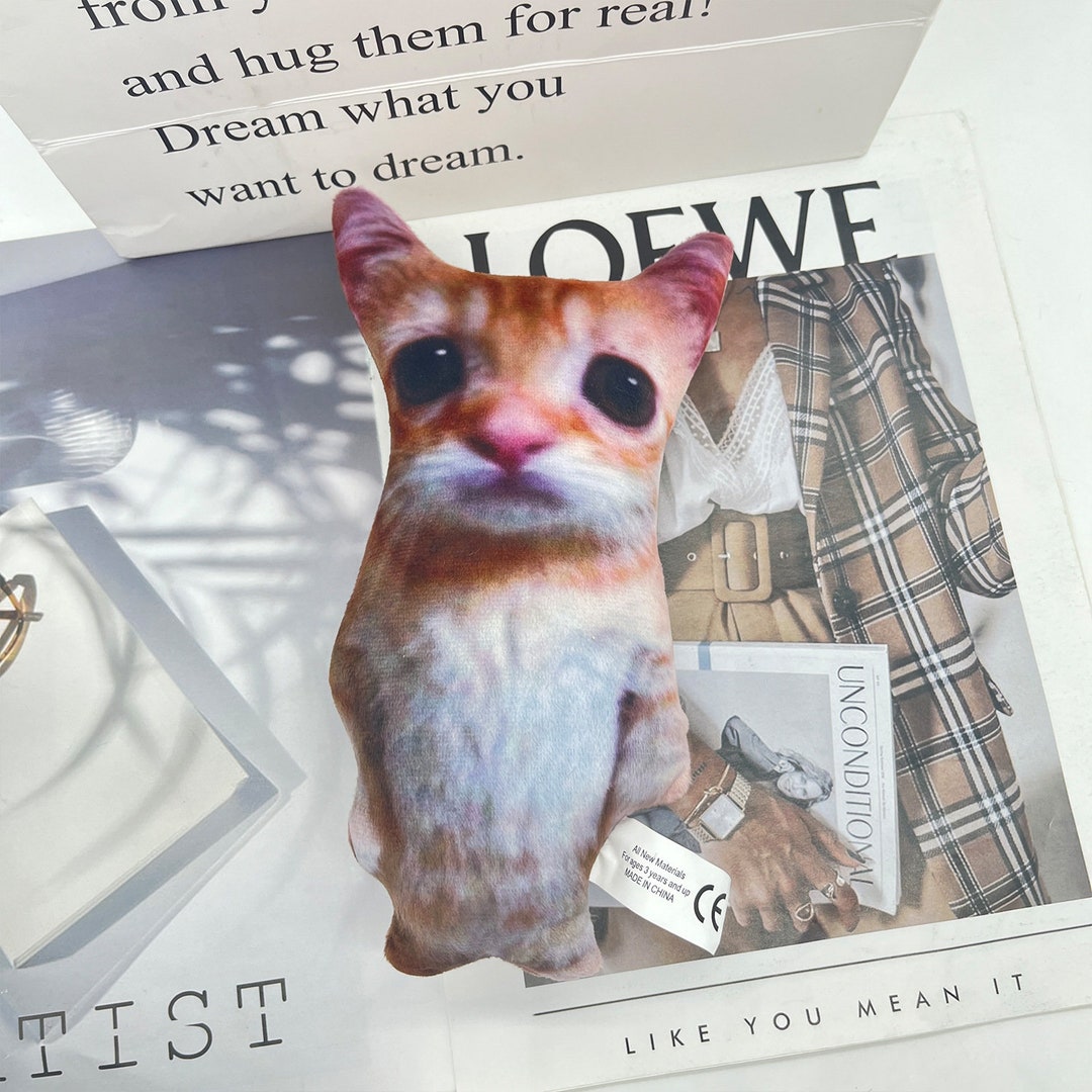 Standing Cat Meme Plushie - Etsy
