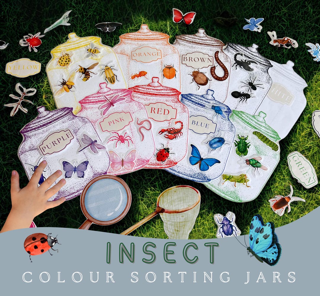 Jogo Montessori de classificação de cores de insetos: atividade de ...