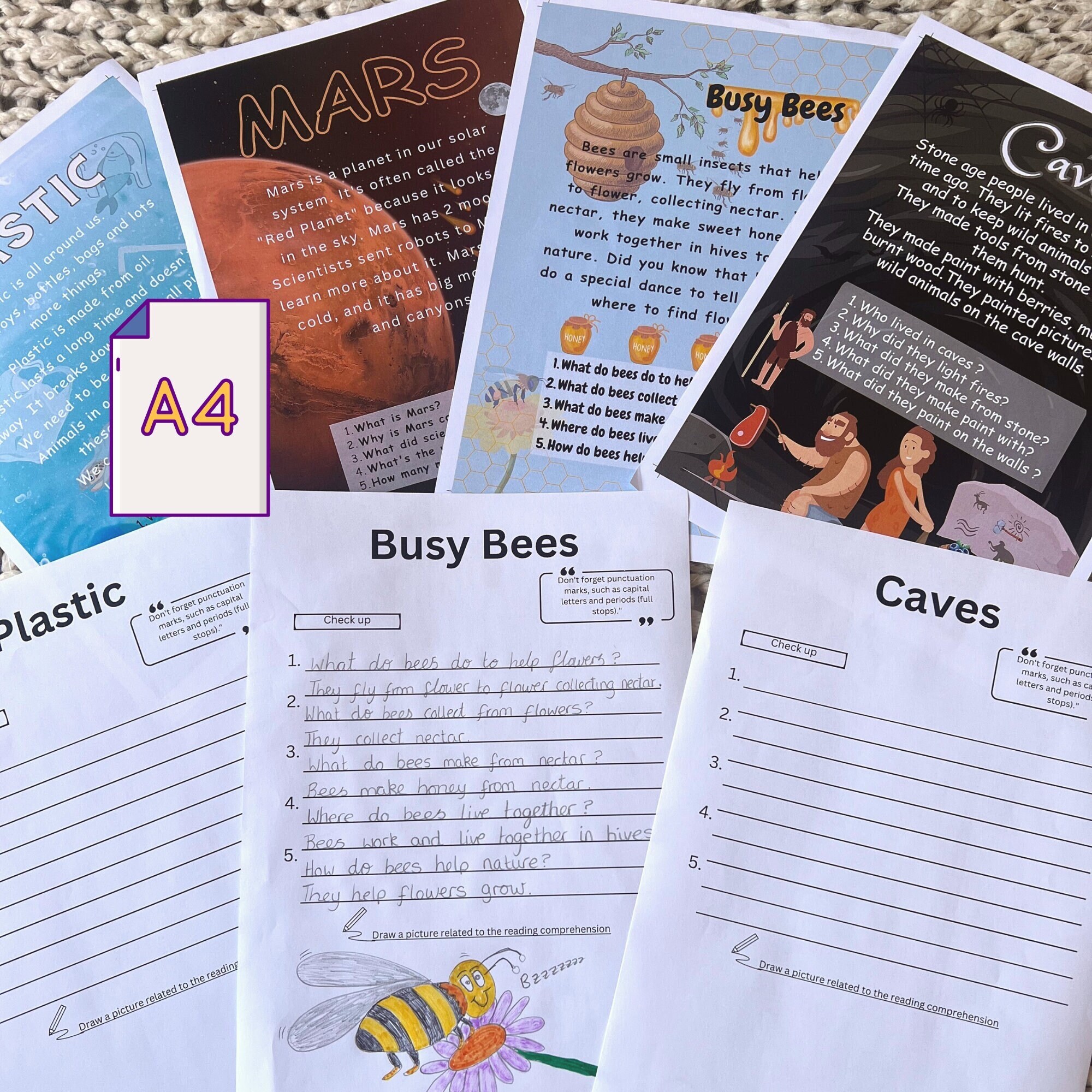 1st Grade Month Supply of Homeschooling / Class Non Fictional Fun ...