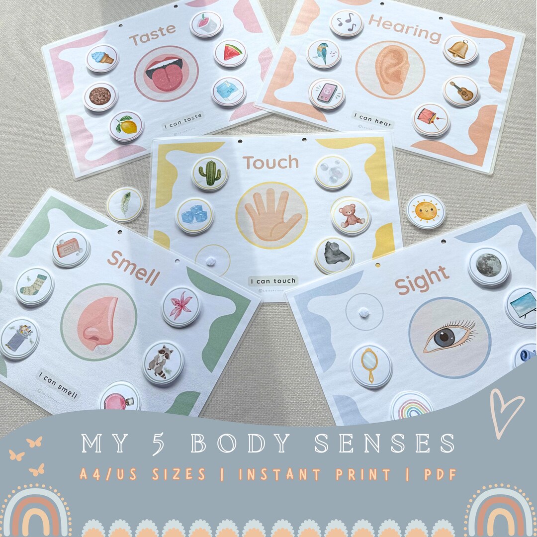 My Five 5 Senses Sorting Activity Printable, the Human Body Pdf ...