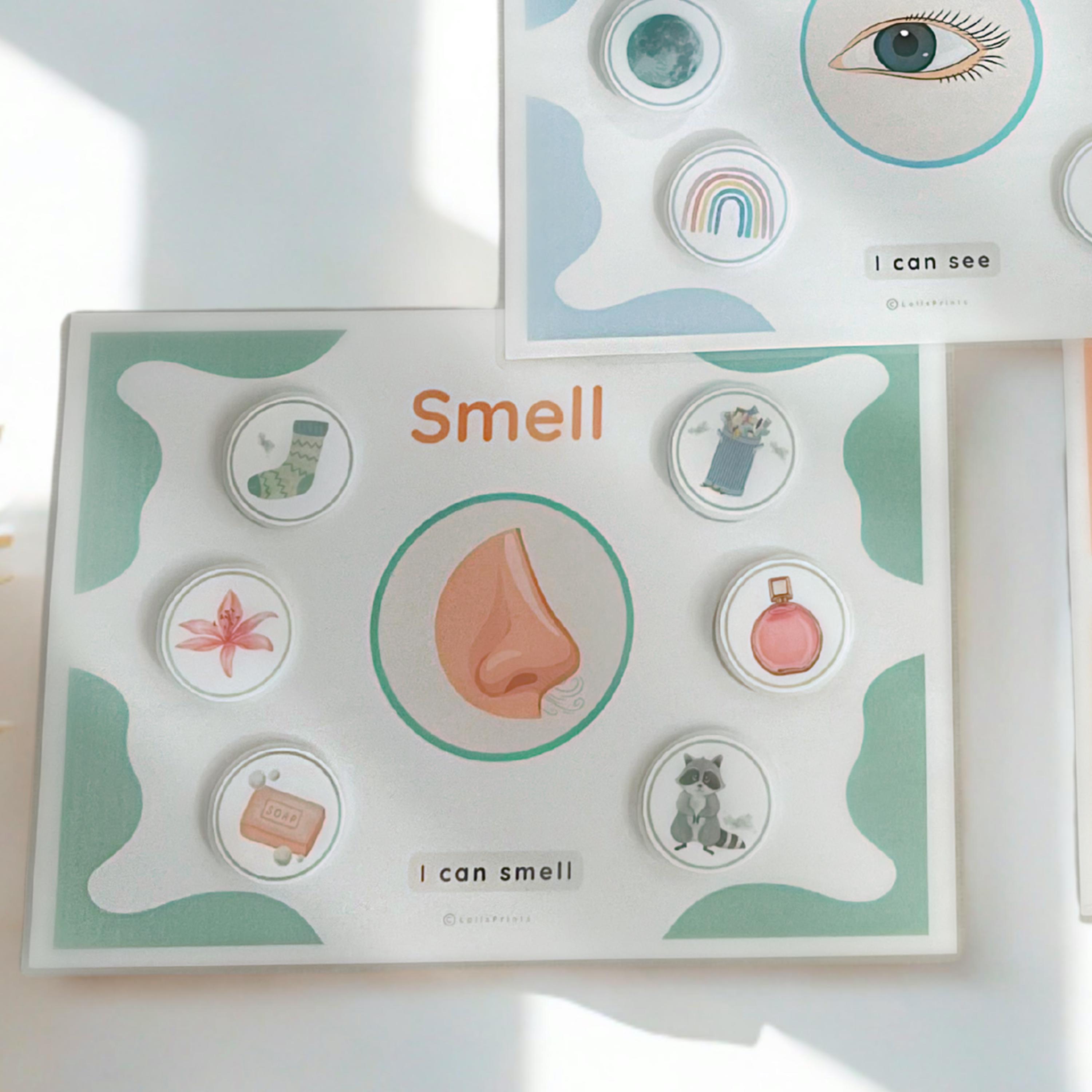 My Five 5 Senses Sorting Activity Printable, the Human Body Pdf ...
