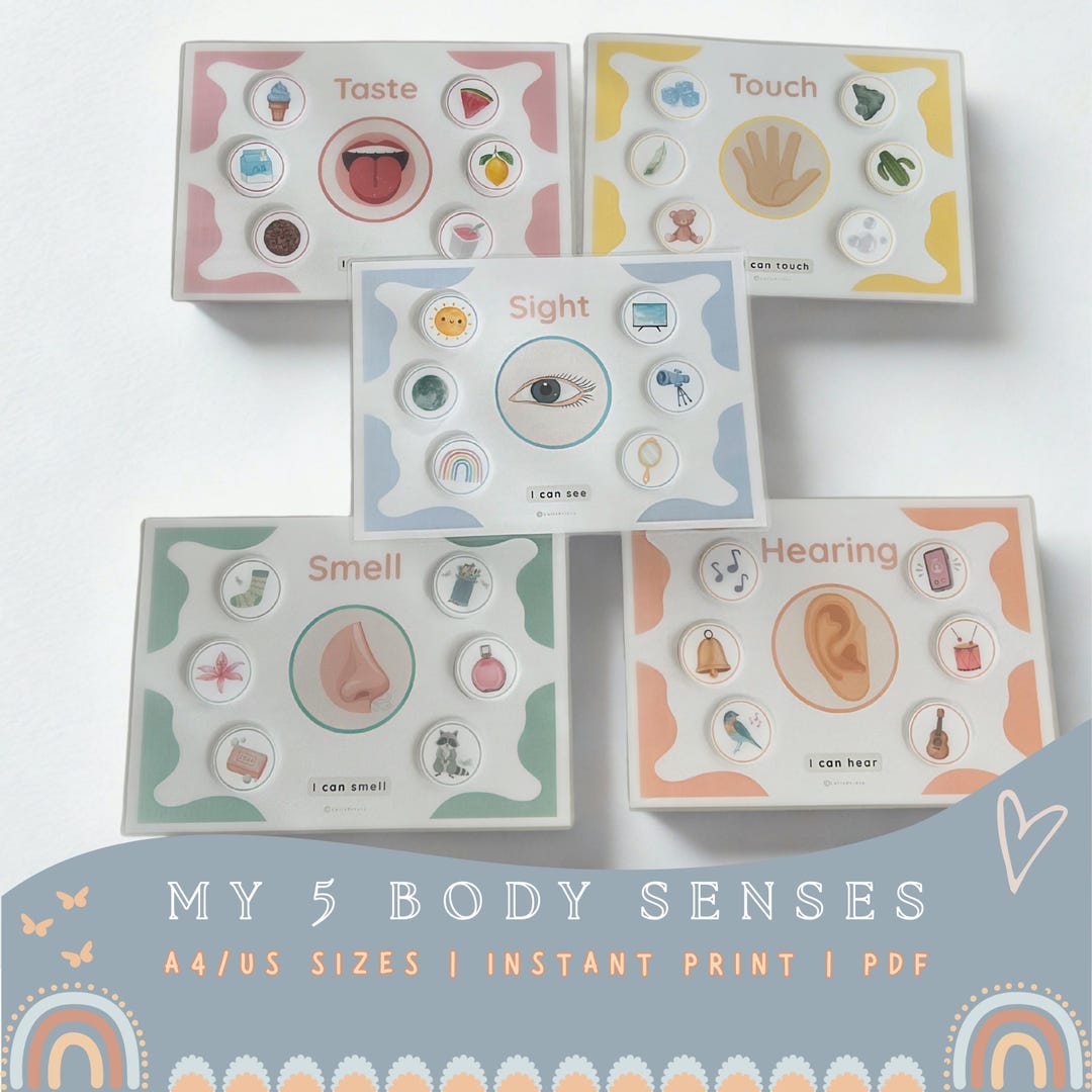 My Five Senses Sorting Activity Printable, 5 Senses Sorting, Homeschool ...