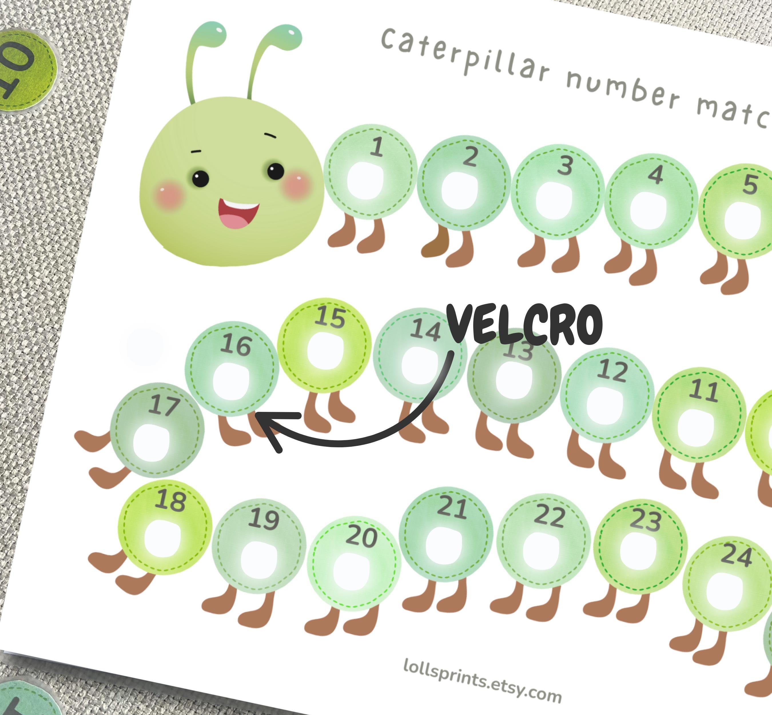 Caterpillar Number Matching Activity, Numbers Printable for Toddlers ...