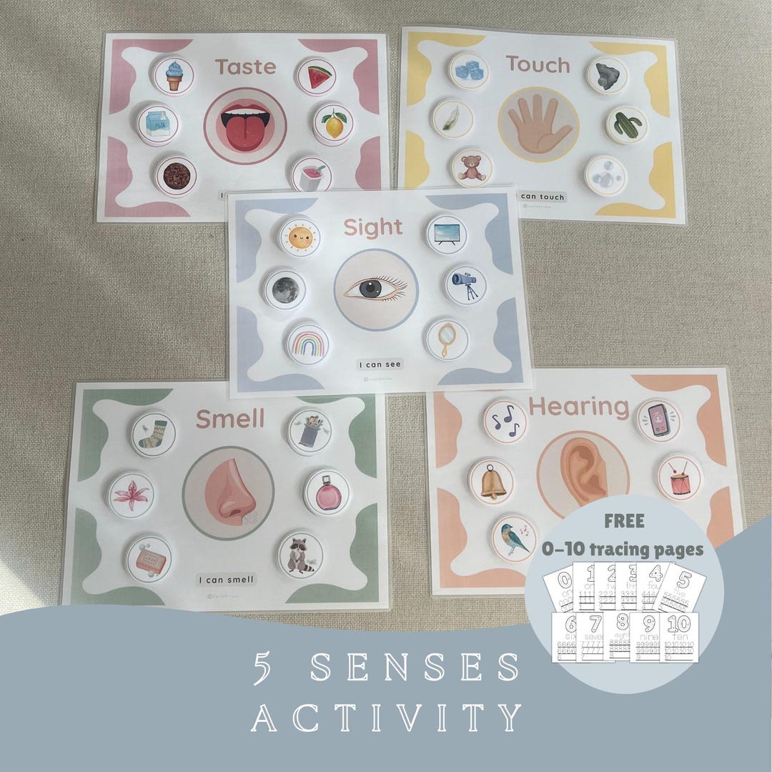 5 Senses Sorting Activity Printable, Montessori Preschool Learning ...