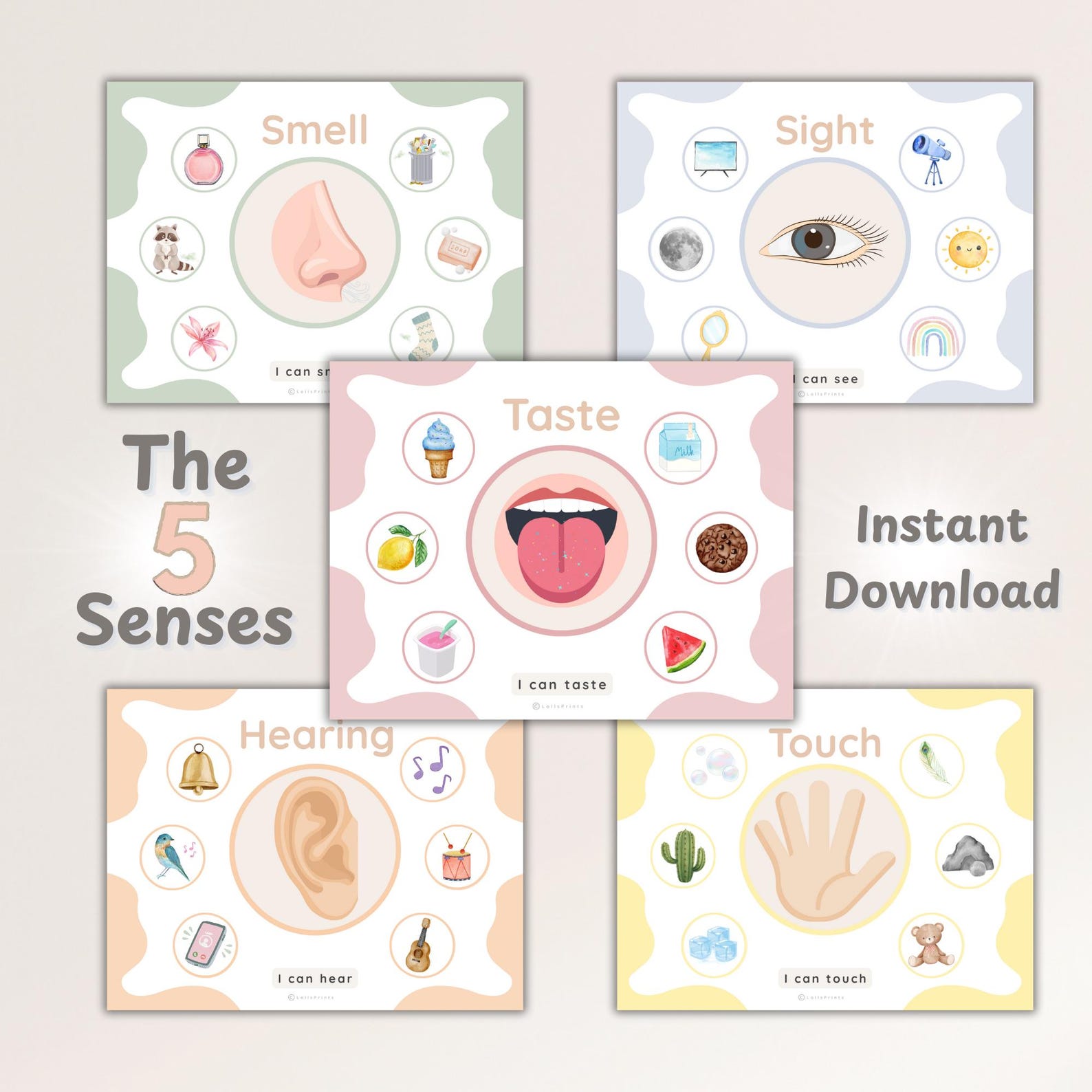 5 Senses Sorting Activity Printable, Montessori Preschool Learning ...
