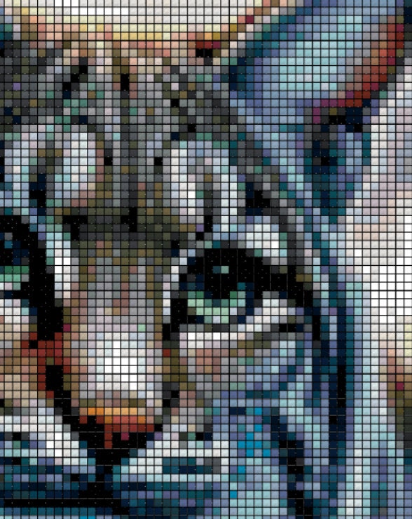 Bobcat 3, Printable Bobcat Cross Stitch Chart, Nature Cross Stitch ...