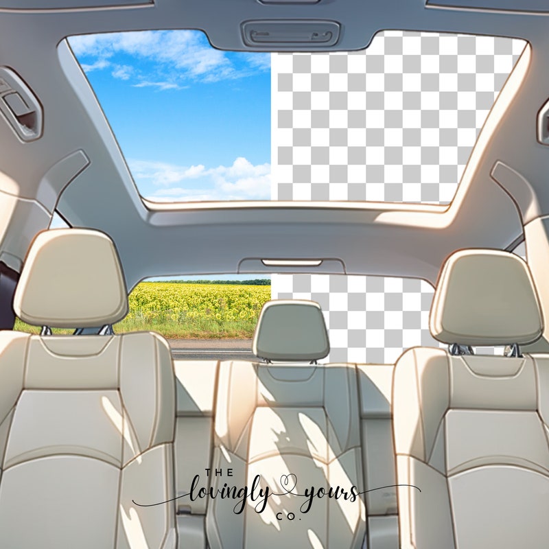 Vtuber Overlay - Etsy