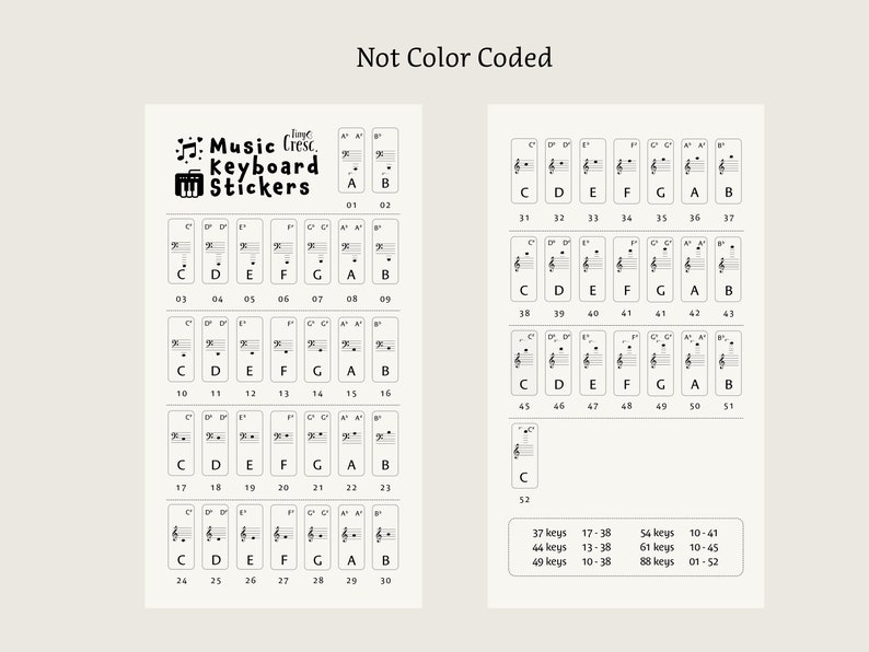 Colourful Piano Keyboard Labels, Piano Stickers for Beginners, Piano ...