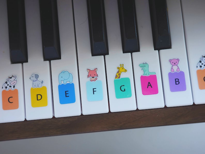 Colourful Piano Keyboard Labels for Kids, Note Names With Cute Animals ...