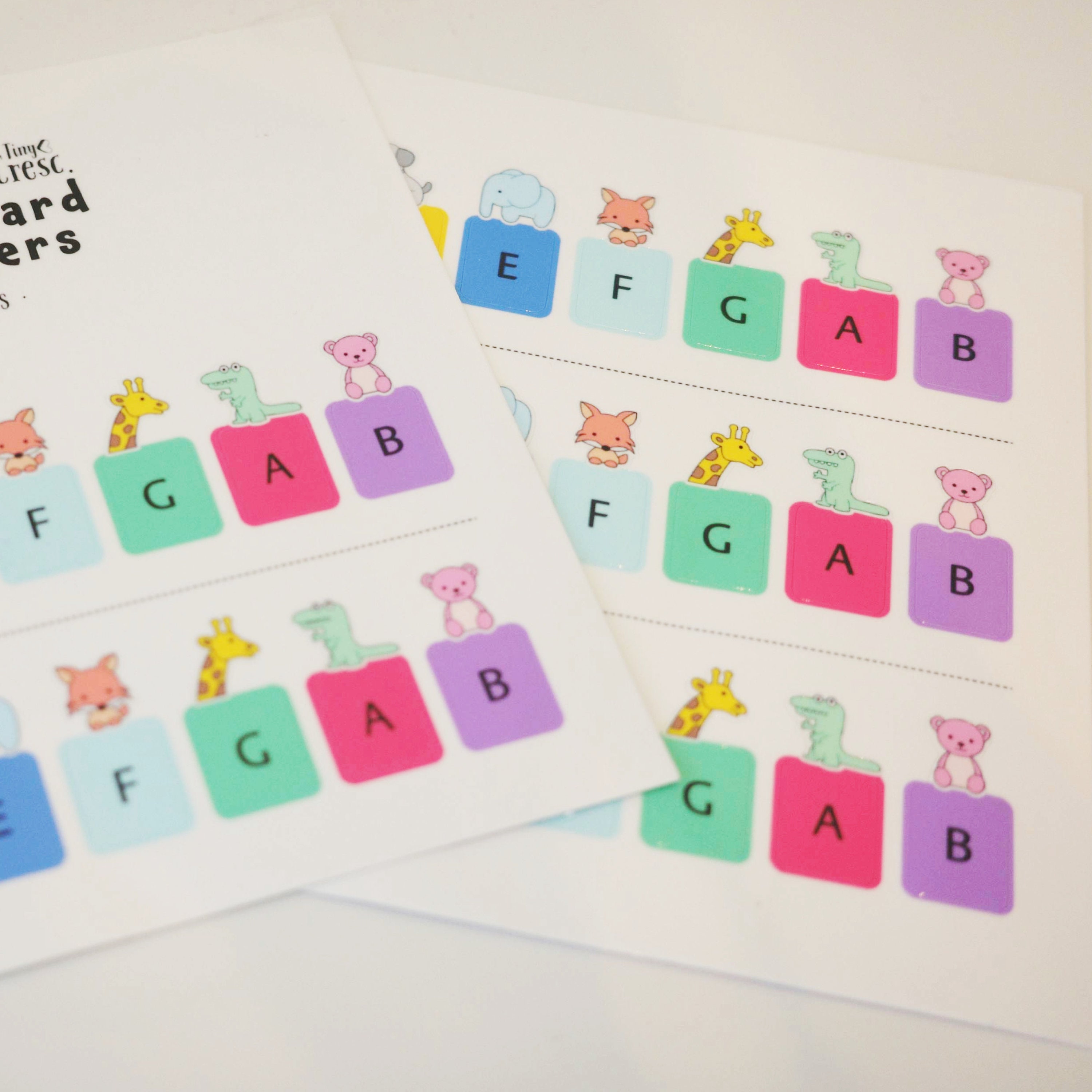 Colourful Piano Keyboard Labels for Kids, Note Names With Cute Animals ...