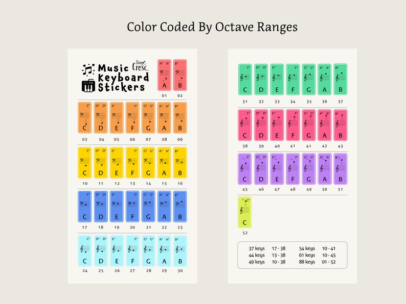 Colourful Piano Keyboard Labels, Piano Stickers for Beginners, Piano ...