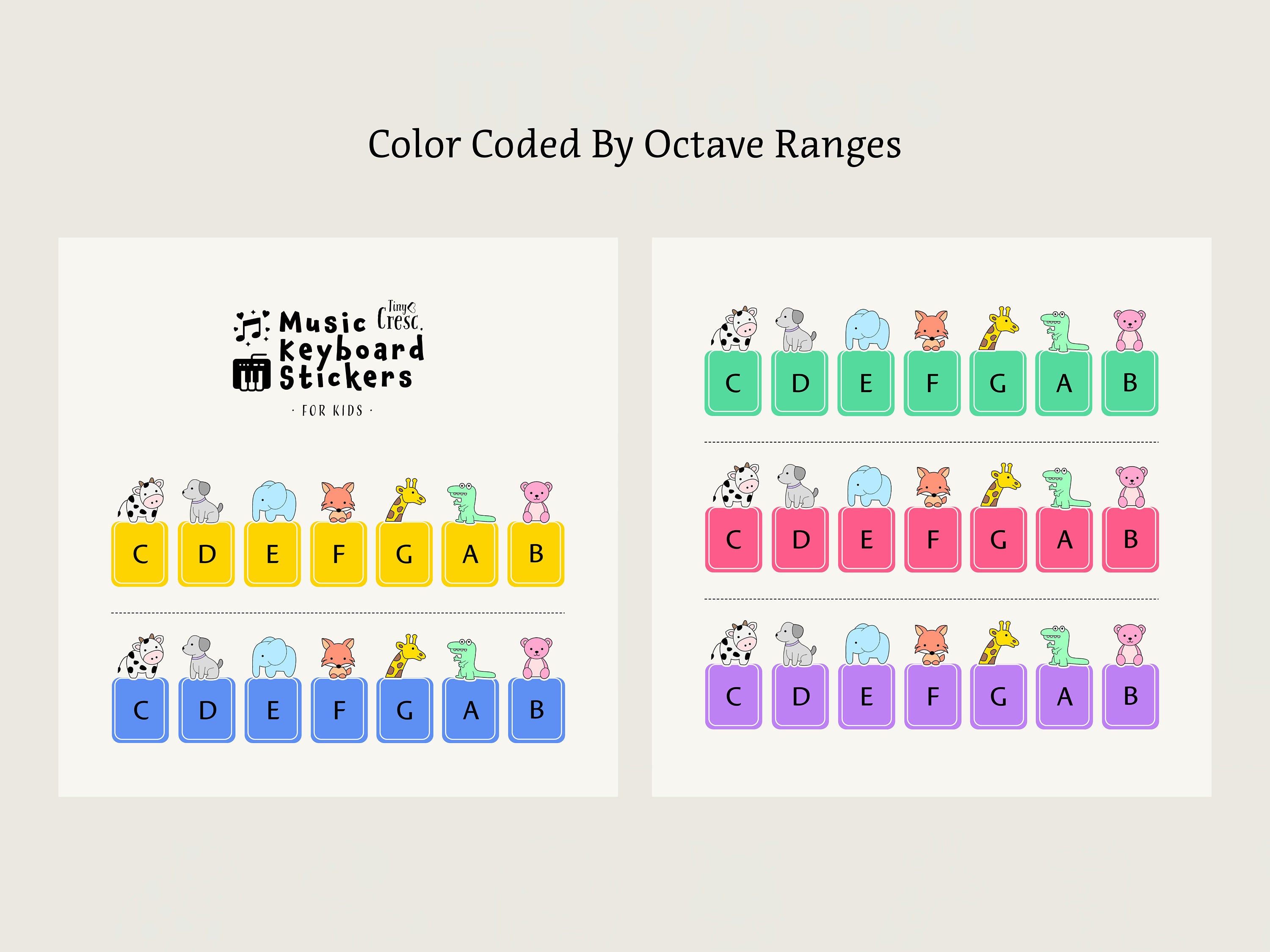 Colourful Piano Keyboard Labels for Kids, Note Names With Cute Animals ...