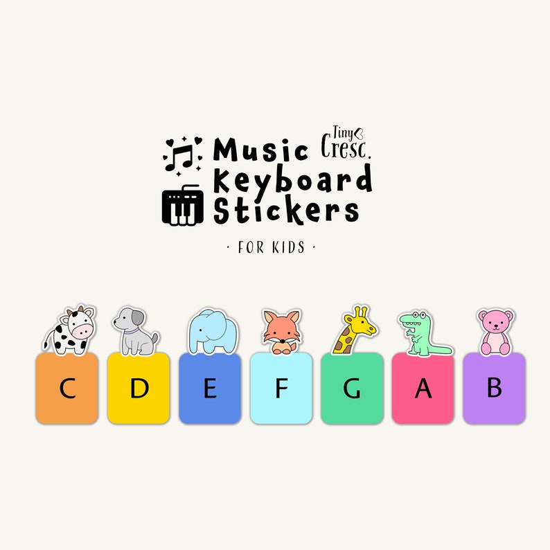 Colourful Piano Keyboard Labels for Kids, Note Names With Cute Animals ...