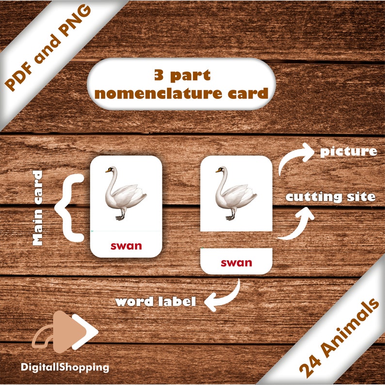 24 ANIMALS 24 Editable Montessori Cards Flash Cards Nomenclature ...