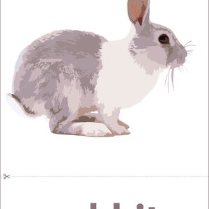 24 ANIMALS • 24 Editable Montessori Cards • Flash Cards • Nomenclature ...