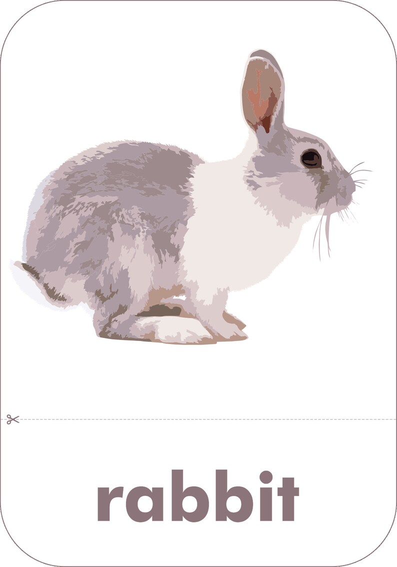 24 ANIMALS • 24 Editable Montessori Cards • Flash Cards • Nomenclature ...