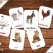 24 ANIMALS • 24 Editable Montessori Cards • Flash Cards • Nomenclature ...