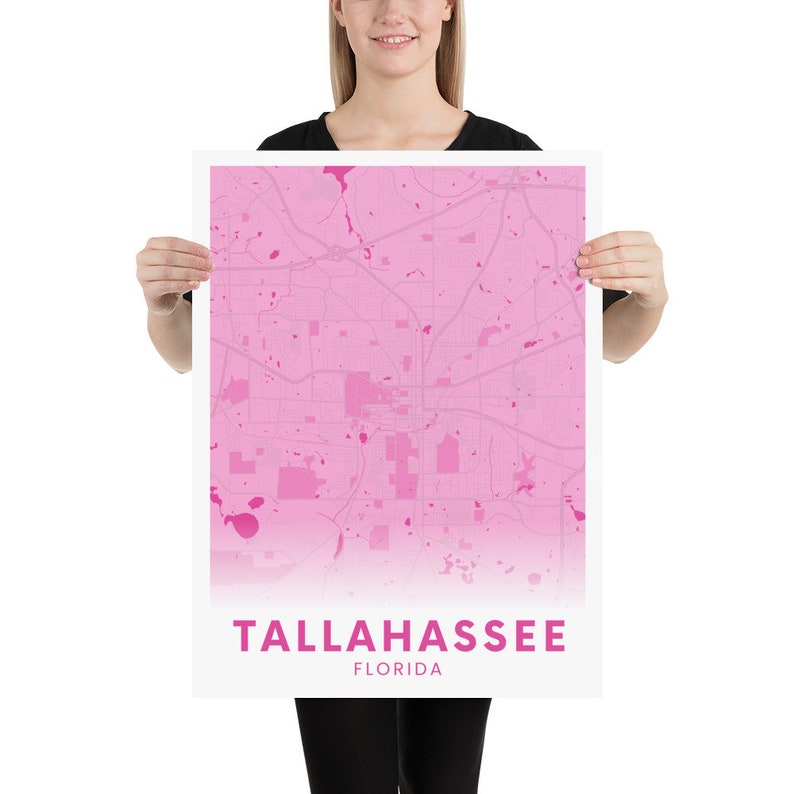 Tallahassee Florida Poster | Hot Pink | Aesthetic | FSU Florida State ...