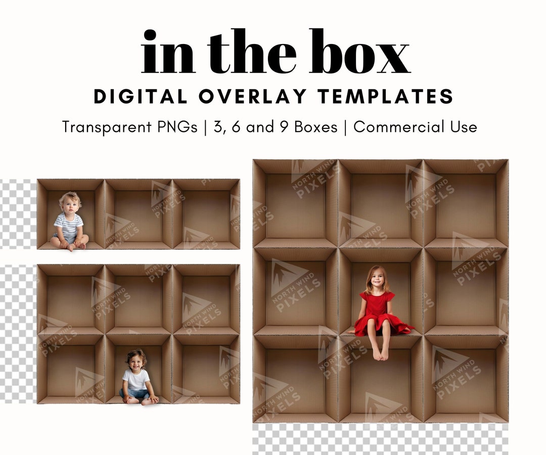 3 Digital Templates With Empty Cardboard Box, PNG, 3, 6 and 9 Box Grids ...
