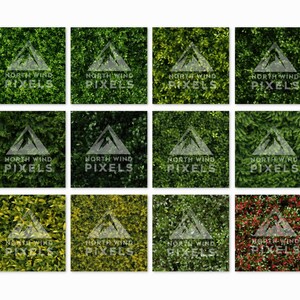 12 Green Oasis Digital Papers, Seamless Textures, 12x12, JPG Files ...