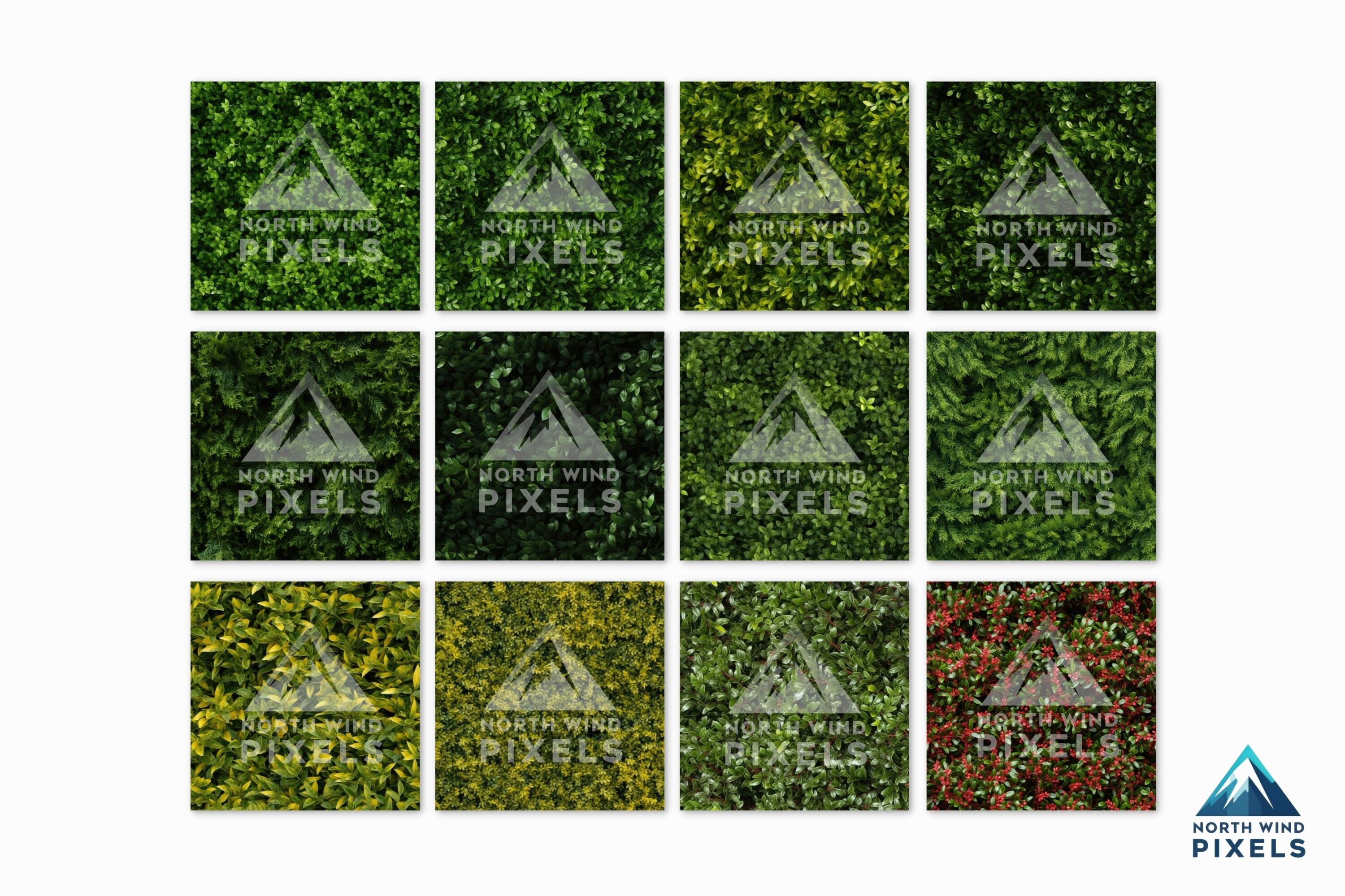 12 Green Oasis Digital Papers, Seamless Textures, 12x12, JPG Files ...
