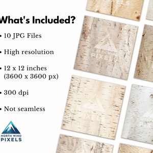 10 Birch Bark Texture Digital Papers, 12x12, JPG Files Download ...