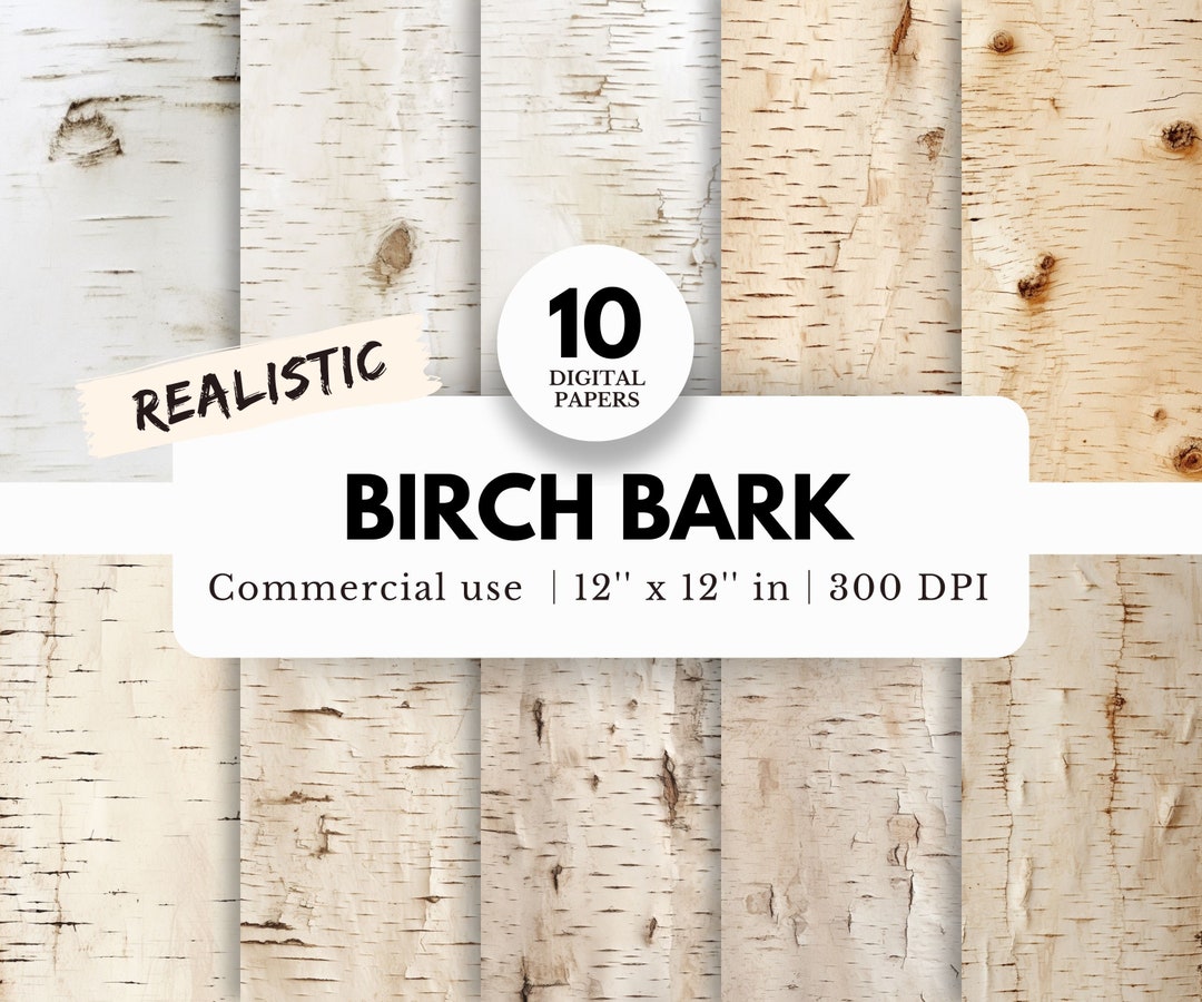 10 Birch Bark Texture Digital Papers, 12x12, JPG Files Download ...