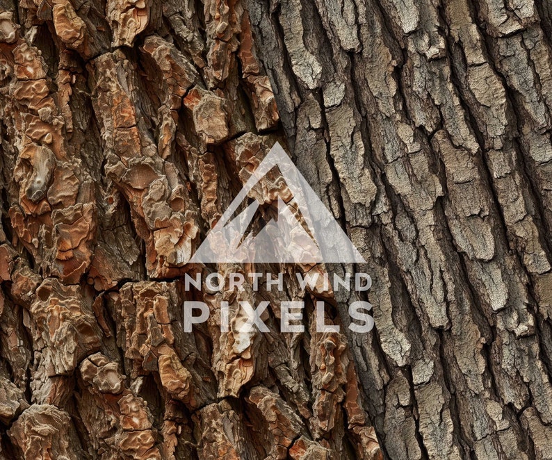 12 Tree Bark Textures Digital Papers, Seamless Pattern, 12x12, JPG ...