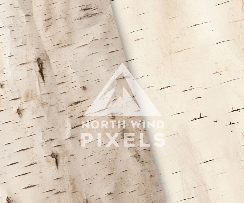 10 Birch Bark Texture Digital Papers, 12x12, JPG Files Download ...