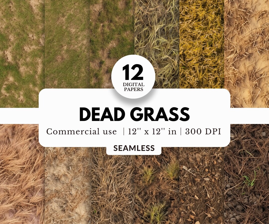 12 Dead Grass Digital Papers, Seamless Textures, 12x12, JPG Files ...