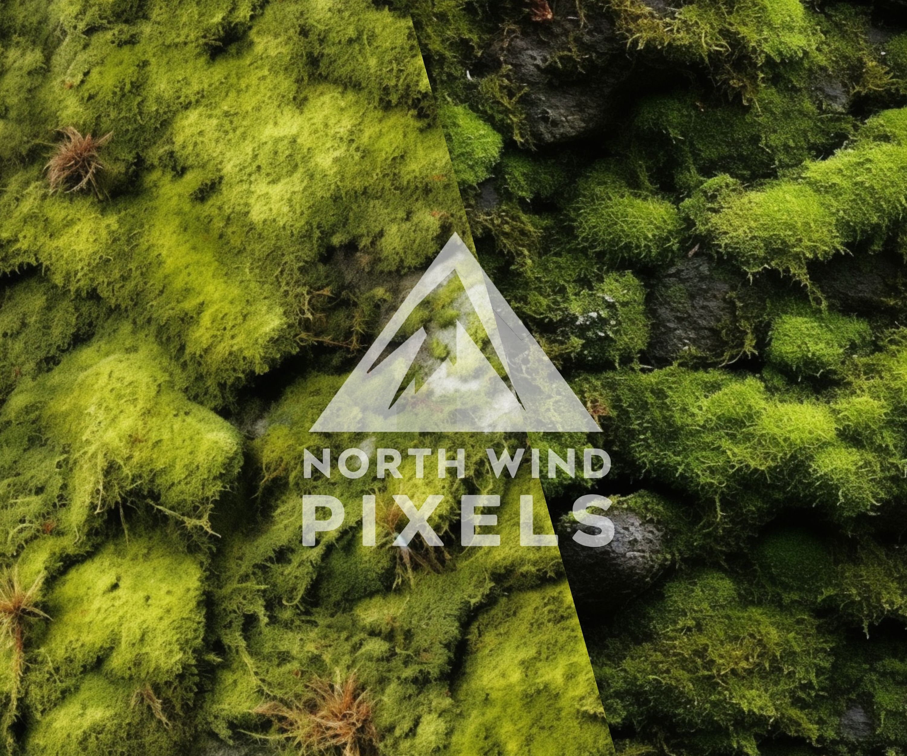 12 Moss Texture Digital Papers, Seamless Pattern, 12x12, Lush Forest ...