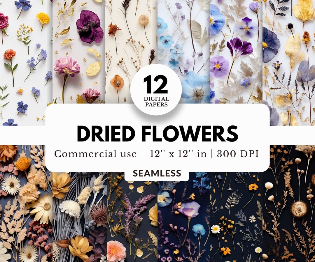 12 Dried Flower Digital Papers, Seamless Patterns, 12x12, Commercial ...