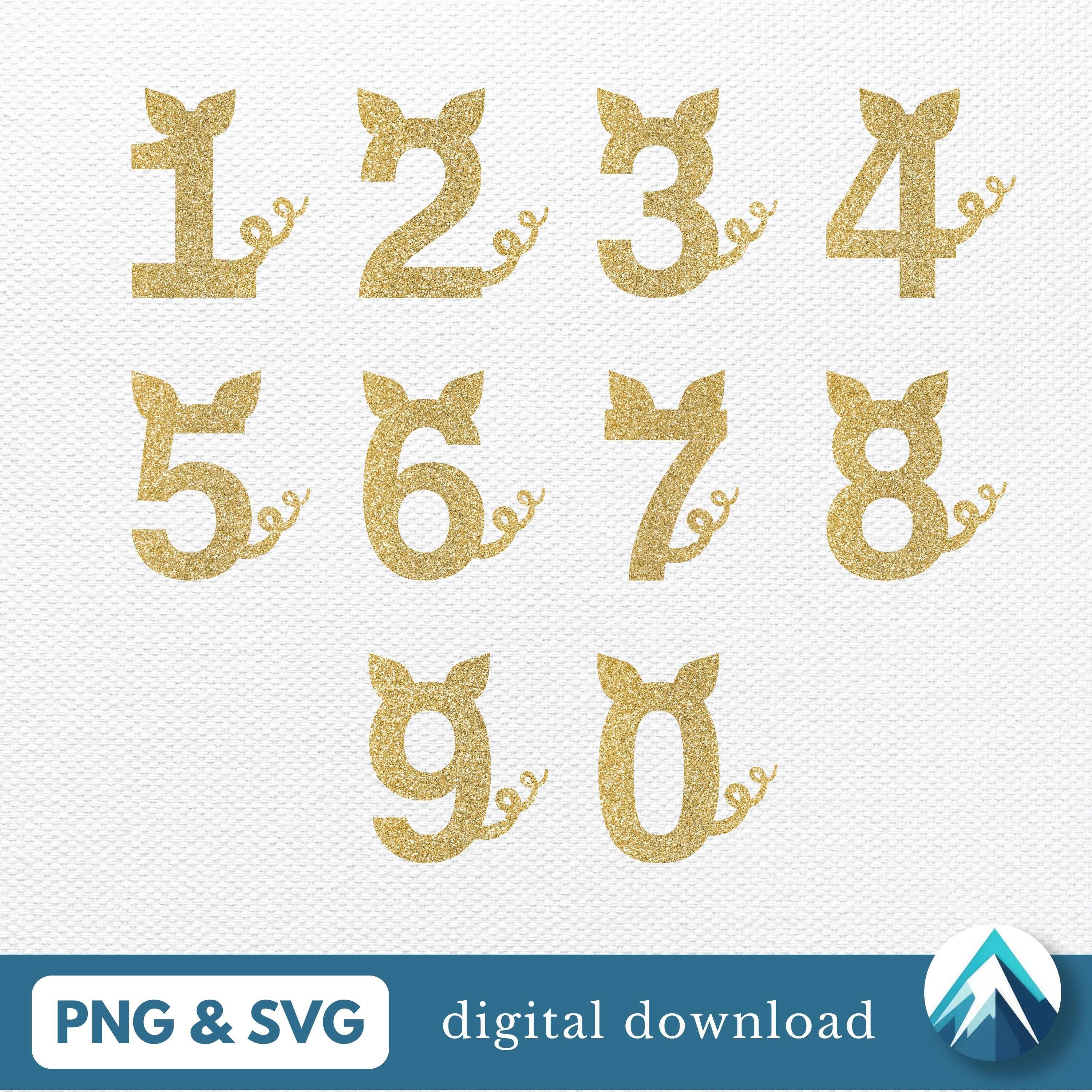 Pig Birthday Number Bundle, PNG and SVG File, Digital Download, Numbers ...
