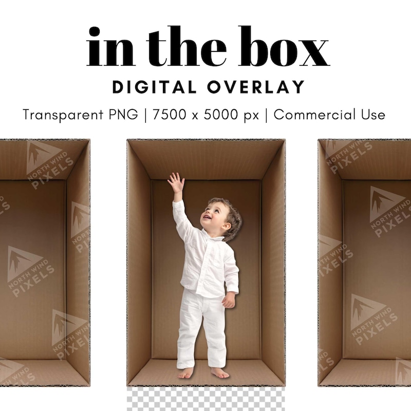 Cardboard Christmas - Etsy