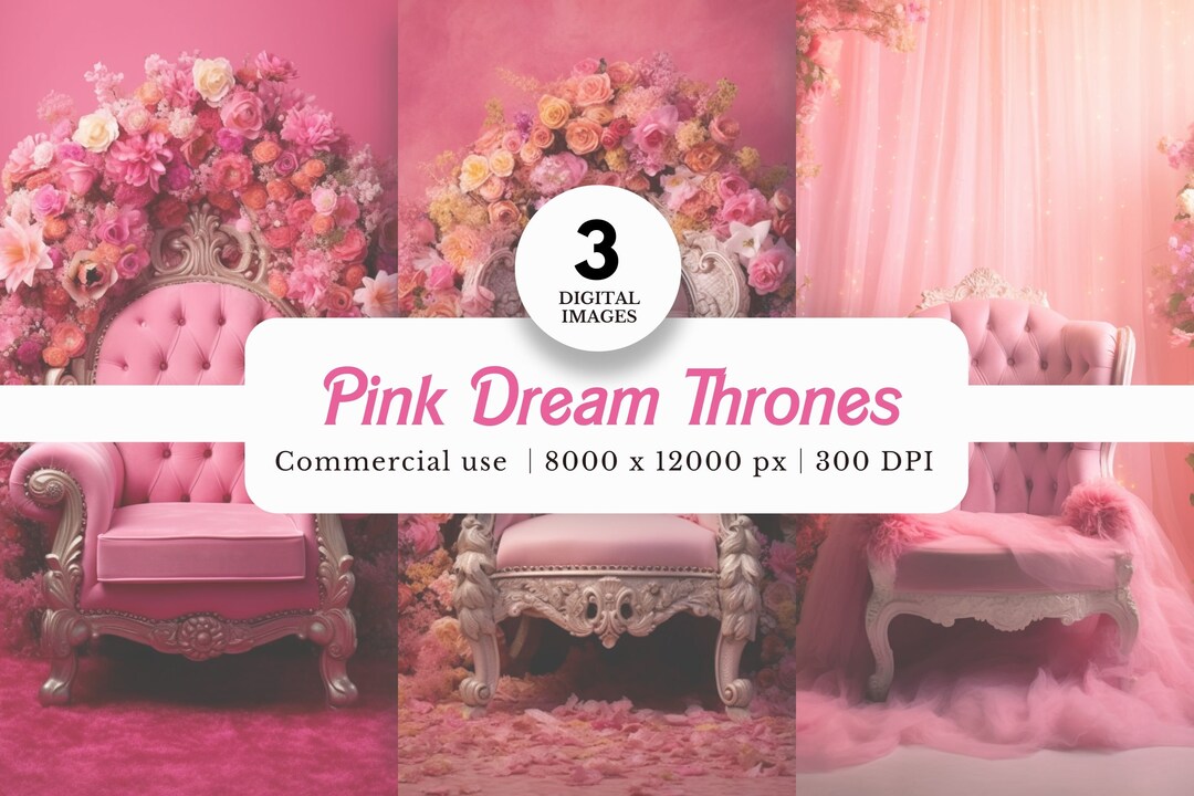 3 Pink Dream Throne Backdrops for Photographers 300 DPI - Etsy