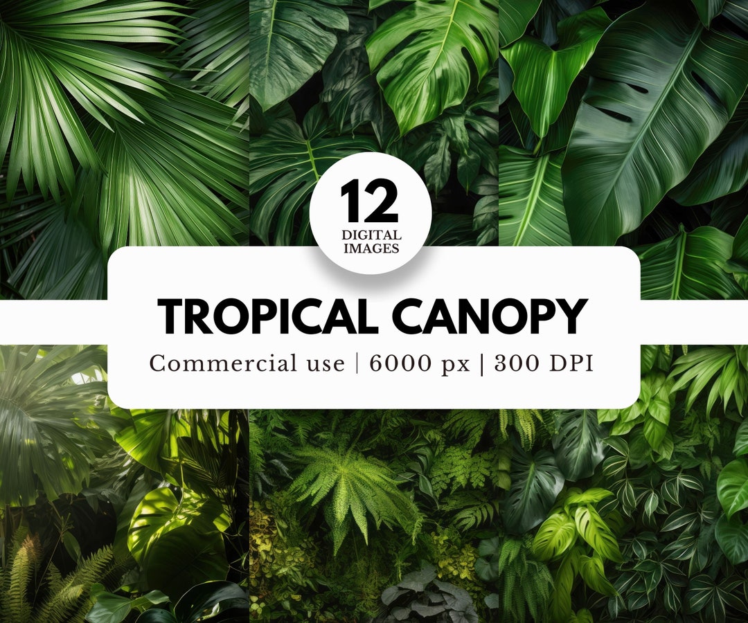 12 Tropical Canopy Digital Backdrops for Photographers, JPG Files, Big ...