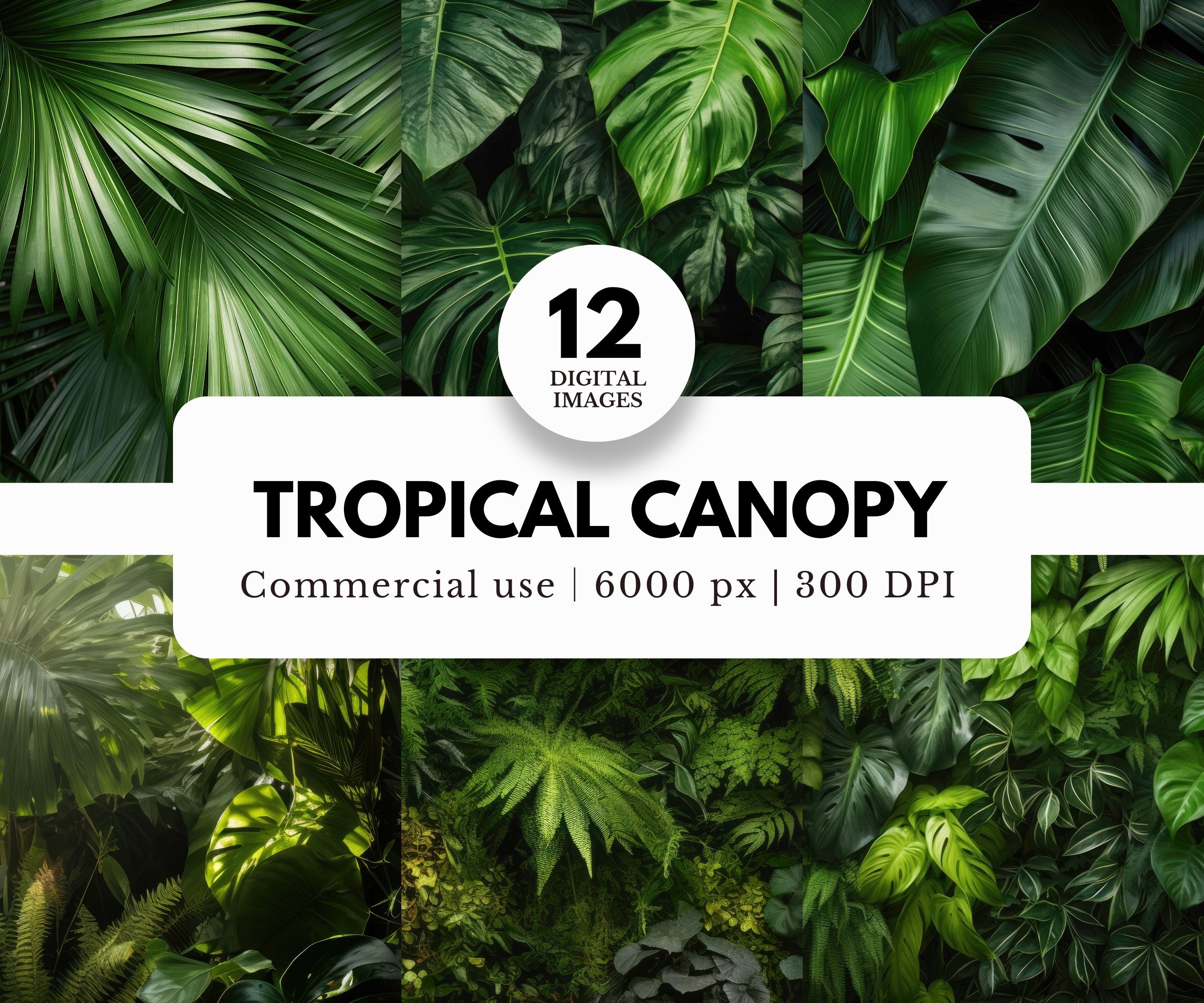 12 Tropical Canopy Digital Backdrops for Photographers, JPG Files, Big ...