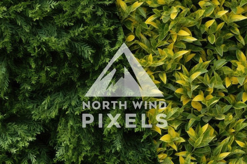 12 Green Oasis Digital Papers, Seamless Textures, 12x12, JPG Files ...
