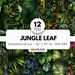 12 Jungle Leaf Digital Papers, Seamless Patterns, 12x12, JPG Download ...