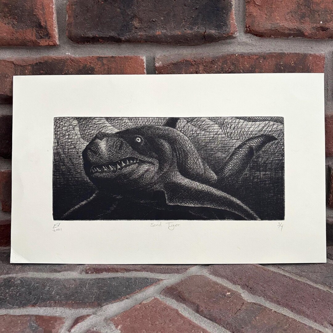 Sand Tiger - Copper Etching Limited Edition Intaglio Print - Etsy