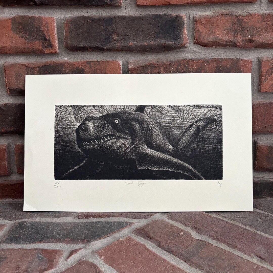 Sand Tiger - Copper Etching Intaglio Print - Etsy