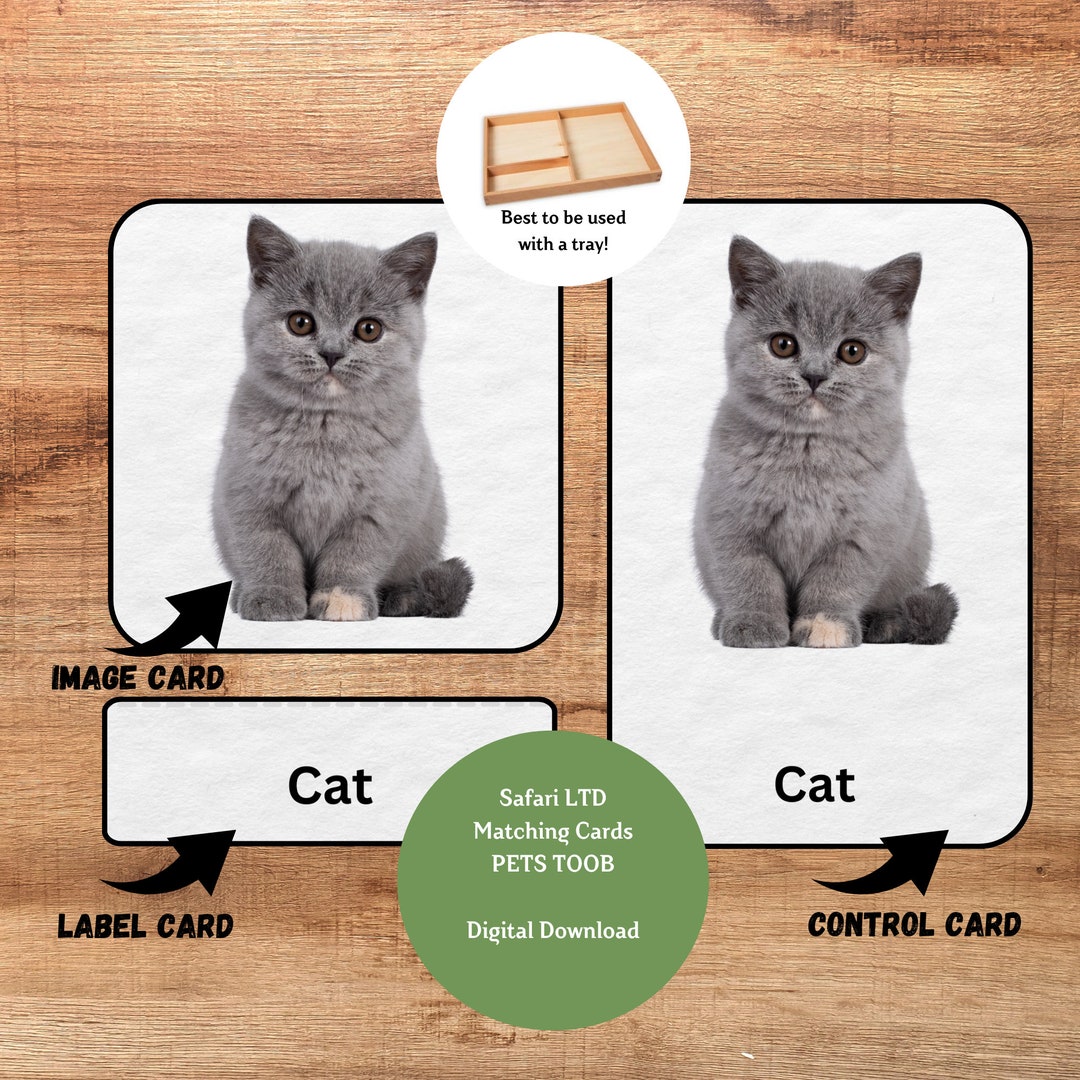 Pets Nomenclature, 3 Part Montessori Cards, 12 Safari LTD Toobs ...