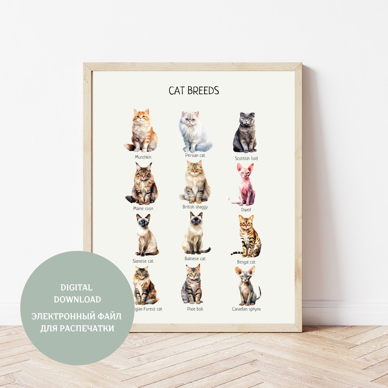 Cat Breeds Poster - Etsy