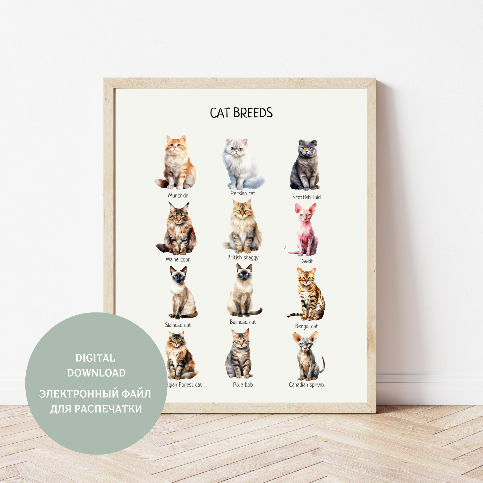 Cat Breeds Poster, Educational Learning Material, Montessori Wall Art ...