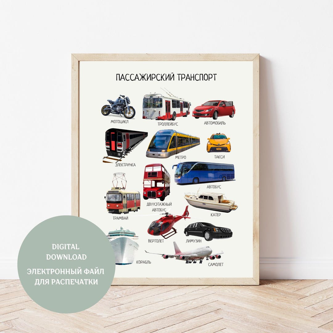 Обучающий плакат "Пассажирский транспорт" |passenger Transport Vehicles ...