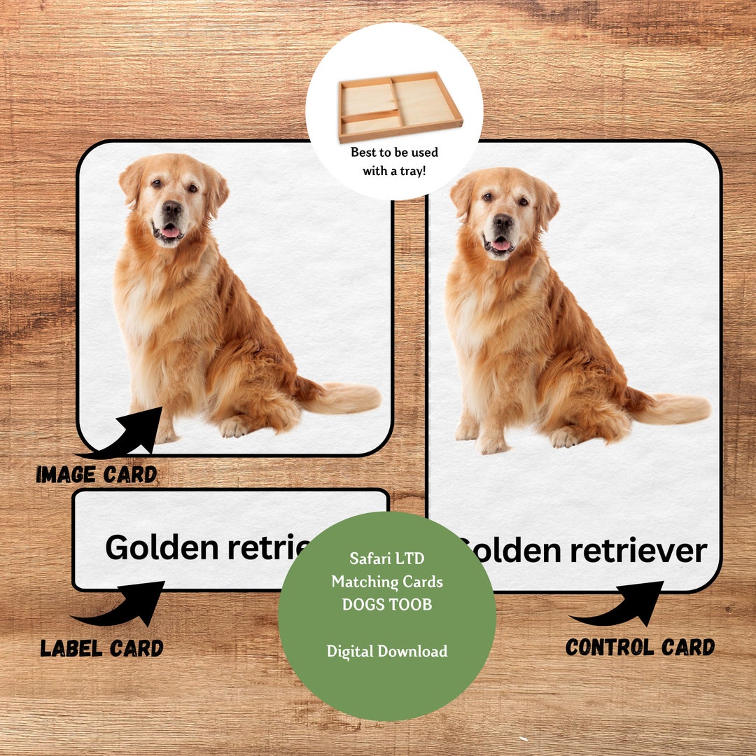 Dogs Toob, 3 Part Montessori Cards, 11 Safari LTD Toobs Coordinates ...