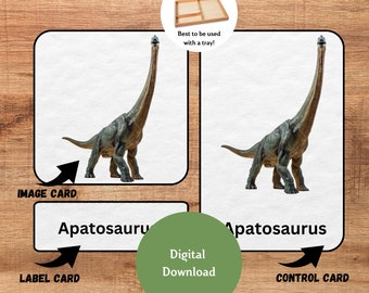 Fruits & Vegetables, 3 Part Montessori Cards, 8 Safari LTD Toobs ...