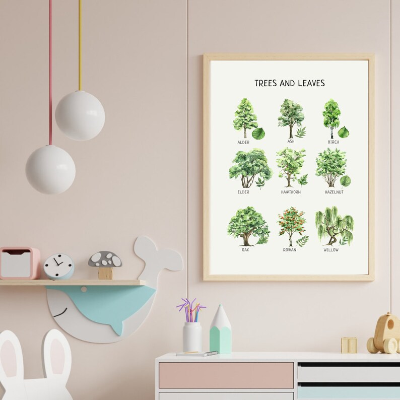 Trees and Leaves Educational Poster, Montessori Poster, Homeschool ...